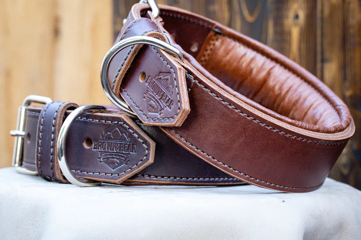 Agitation Collars – BlueCollar Working Dog