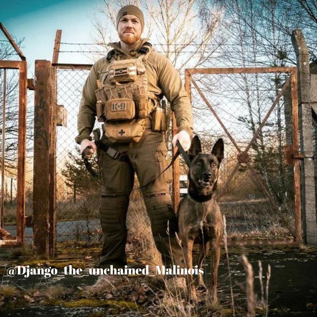 Military / Law Enforcement – BlueCollar Working Dog