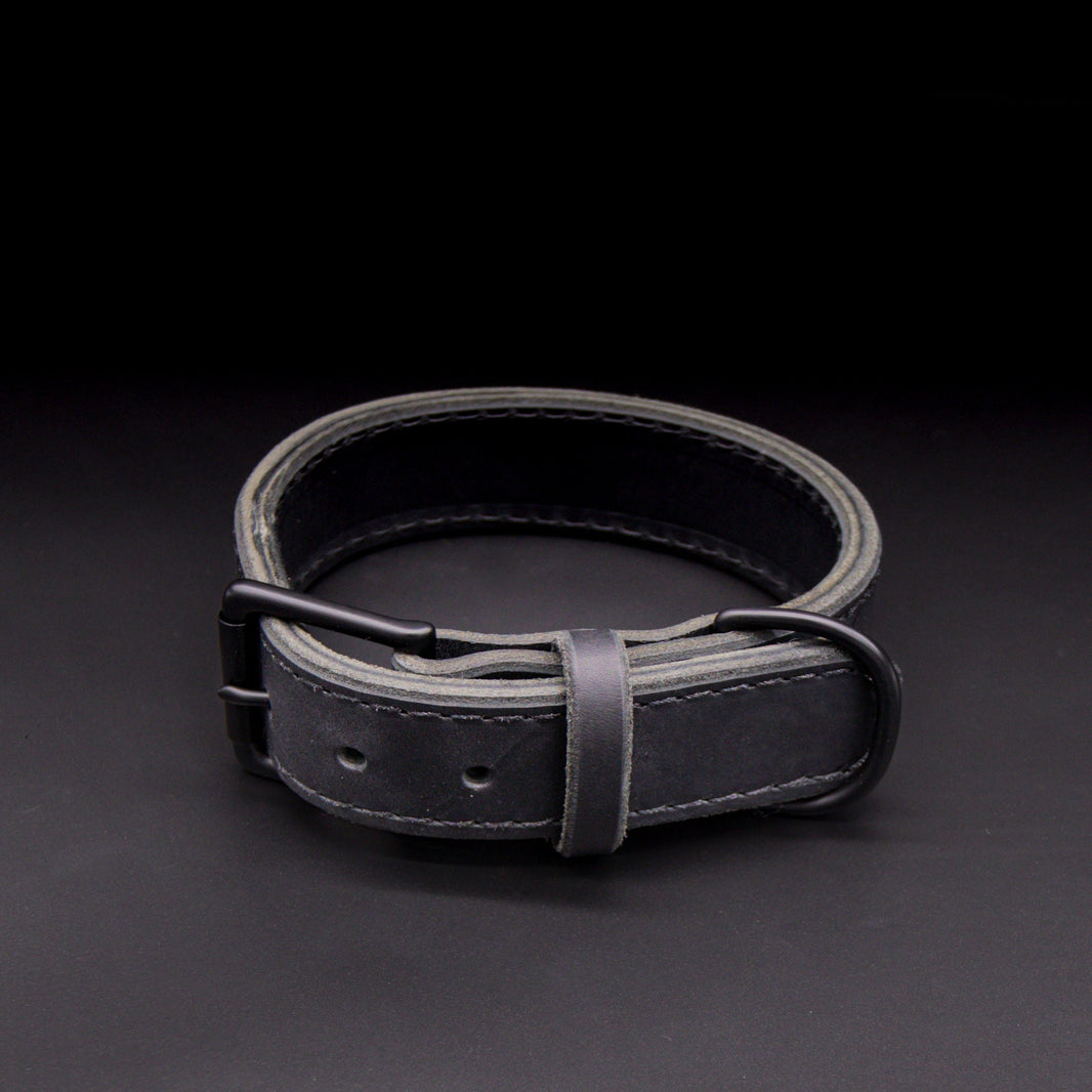 Agitation Collars – BlueCollar Working Dog