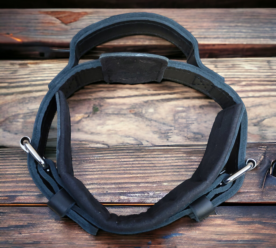 Agitation Collars – BlueCollar Working Dog